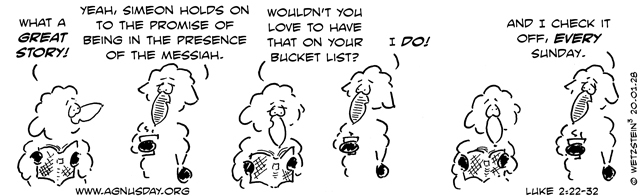 Agnus Day appears with the permission of www.agnusday.org